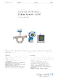 Proline Promass Q specialist flowmeter | Endress+Hauser | ESI Enviropro