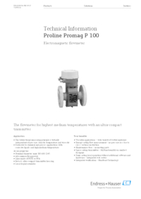 Proline Promag P 100 electromagnetic flowmeter | Endress+Hauser | ESI ...