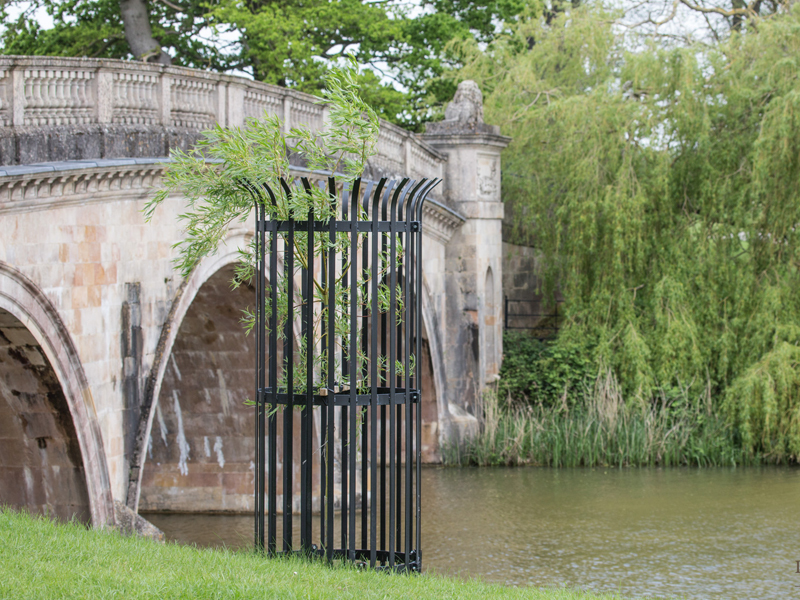 Circular, vertical bar tree guards | Paddock Fencing | ESI External Works
