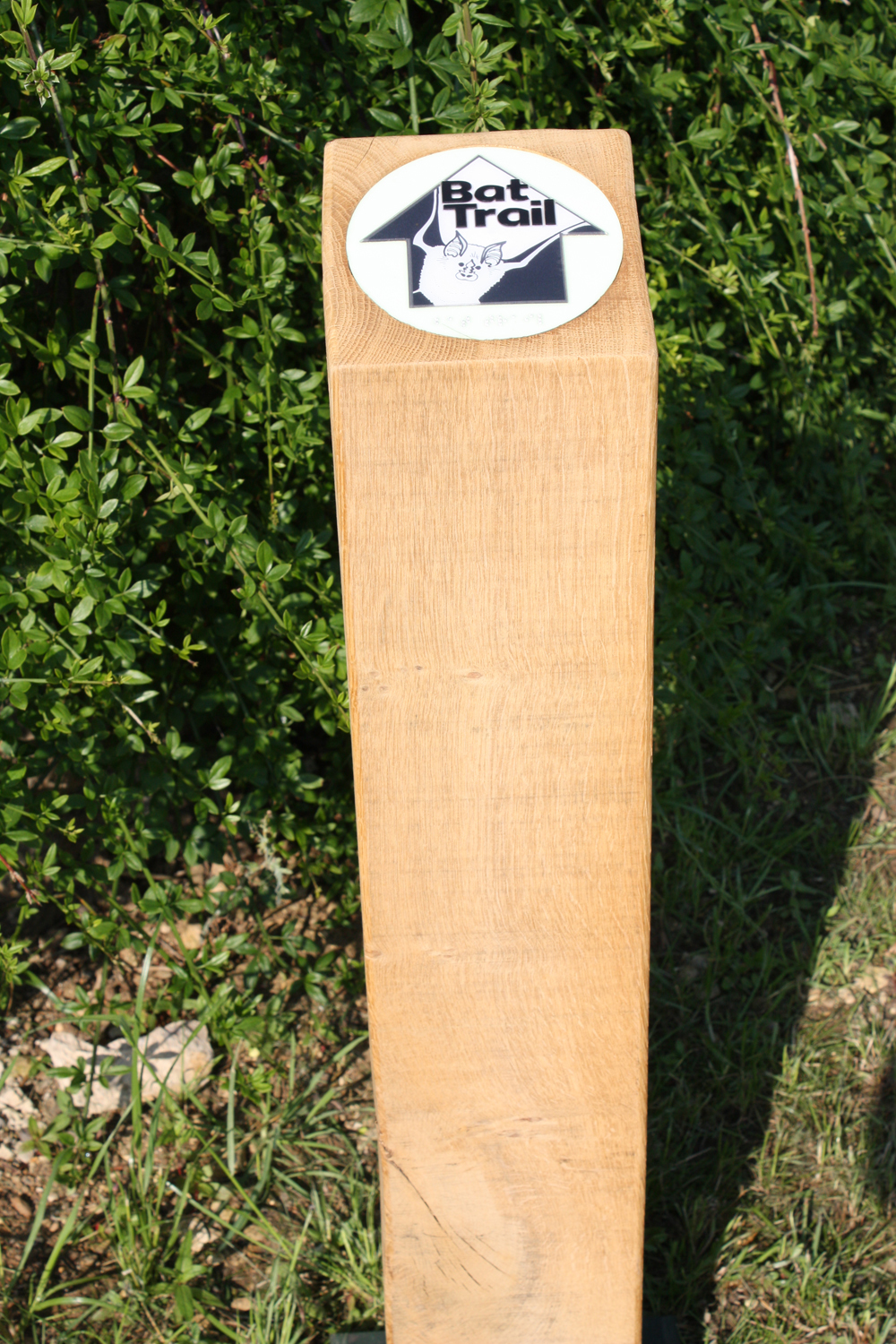 Timber waymarker posts and bollards | Landmark | ESI External Works