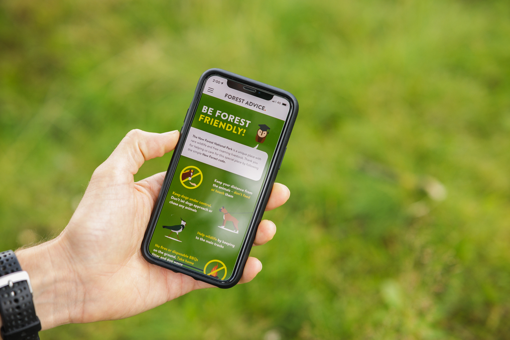 Smart wayfinding and placemaking for The New Forest | fwdesign | ESI ...