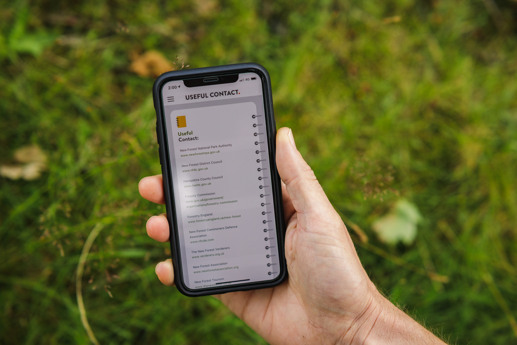 Smart wayfinding and placemaking for The New Forest | fwdesign | ESI ...