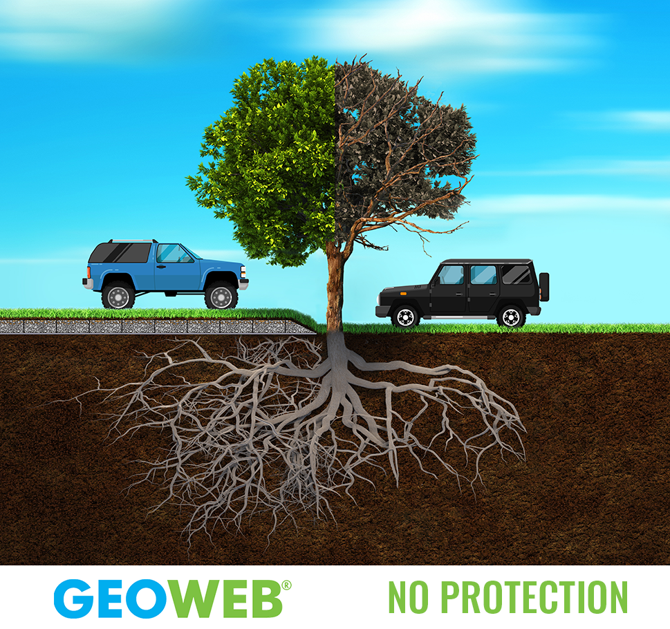 Geoweb® tree root protection system | Greenfix Soil Stabilisation ...