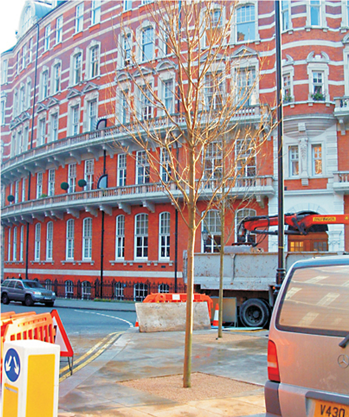 Deadman System - Plati-Mat | Platipus Anchors Ltd | ESI External Works