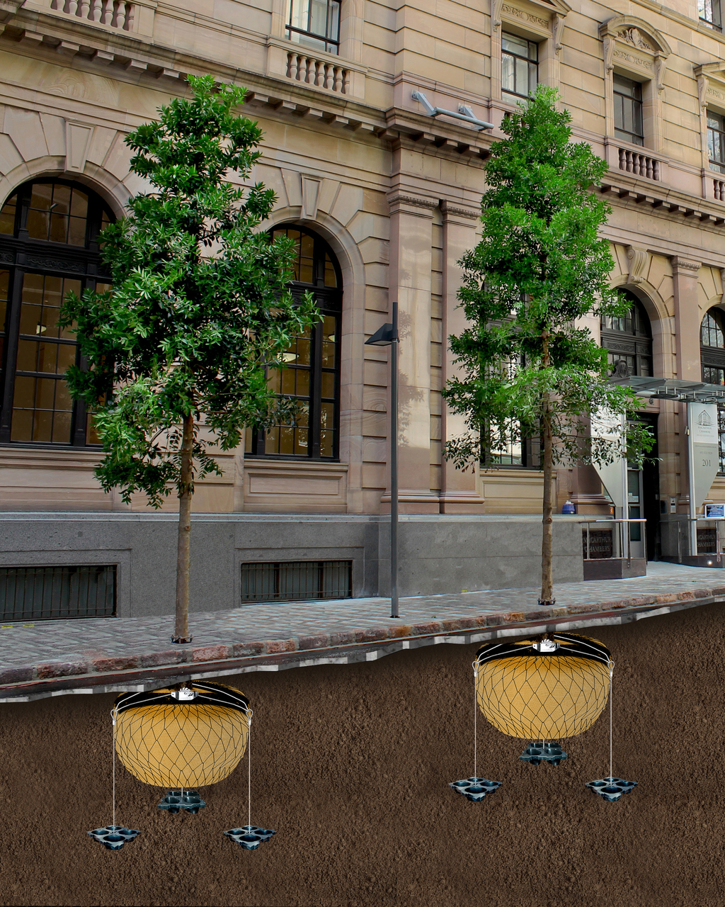 D-MAN® tree fixing system | Platipus Anchors Ltd | ESI External Works