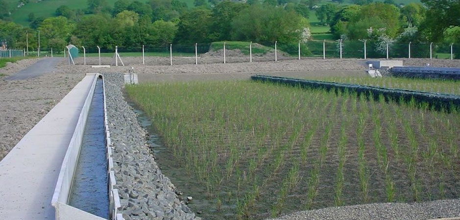 Reedbed water treatment | BCM GRC | ESI Enviropro