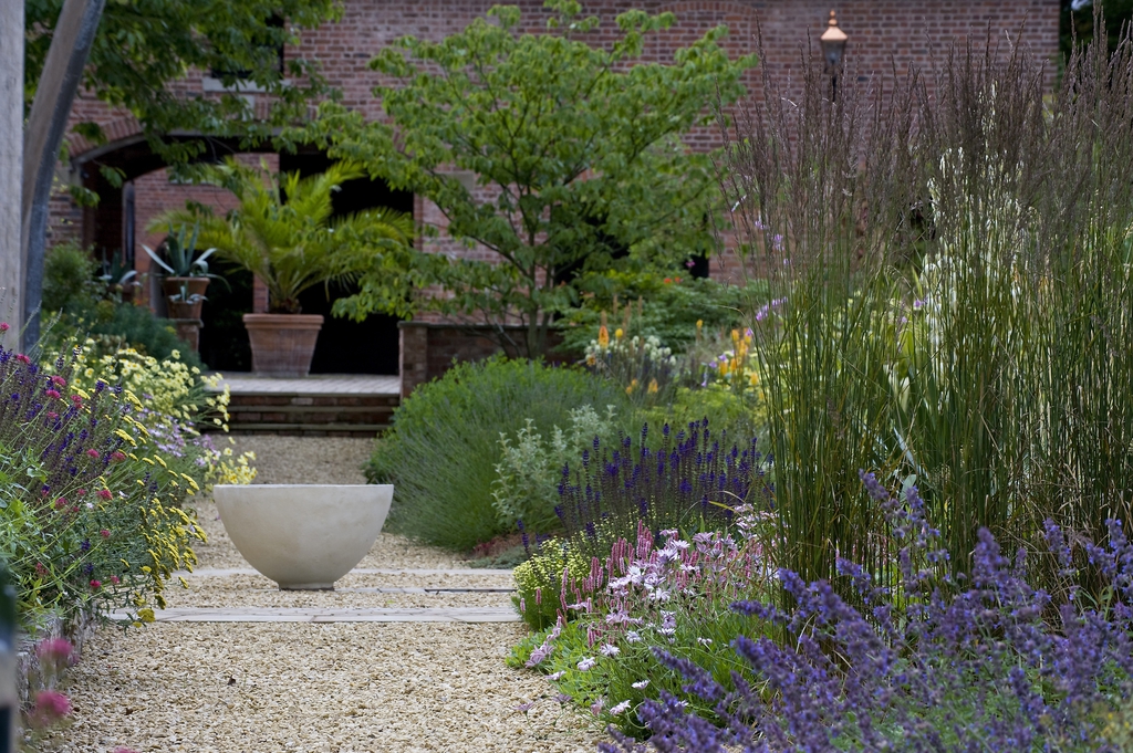 Specimen shrubs | Palmstead Nurseries | ESI External Works