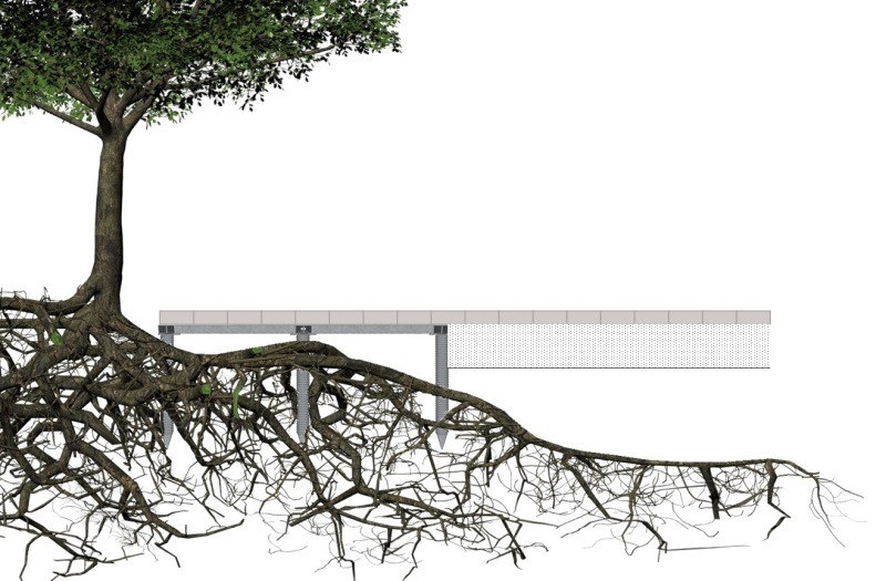 RootBridge – bridges for tree root protection | Green Grid Systems ...
