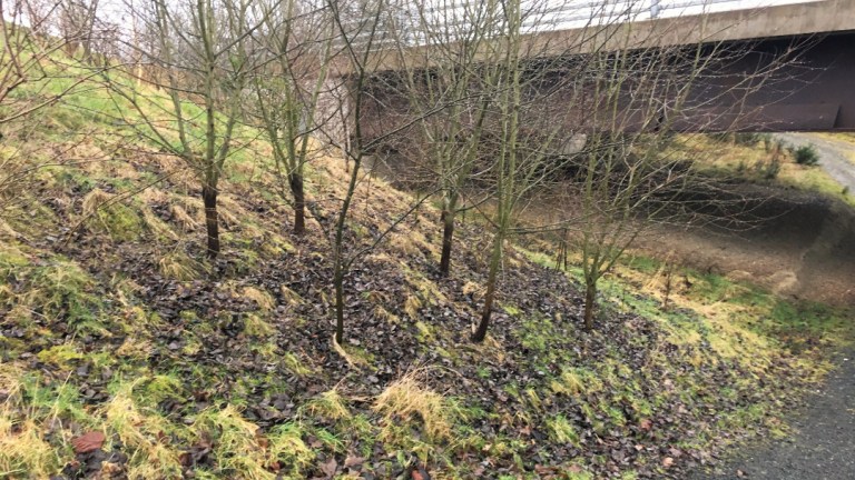 Rootlok system for vegetated retaining wall on footway | GeoGrow | ESI ...