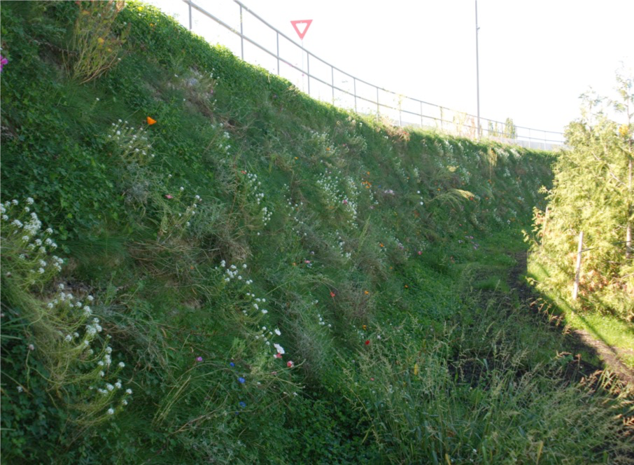 Vegetated wall system stabilises highway slope | Gravitas International ...