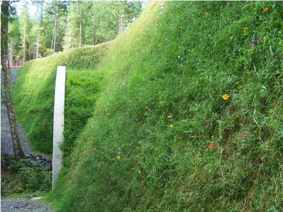 Vegetated wall system for 10m-high retaining bank | Gravitas ...
