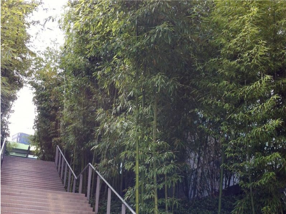 Flex MSE vegetated wall system for urban greening | Gravitas ...