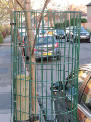 Weld mesh tree guards | GreenBlue Urban Ltd | ESI External Works