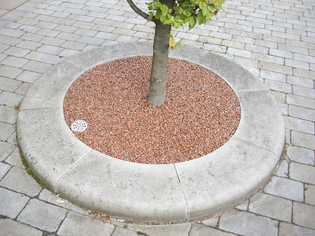 Arboresin - porous tree pit surface | GreenBlue Urban Ltd | ESI ...