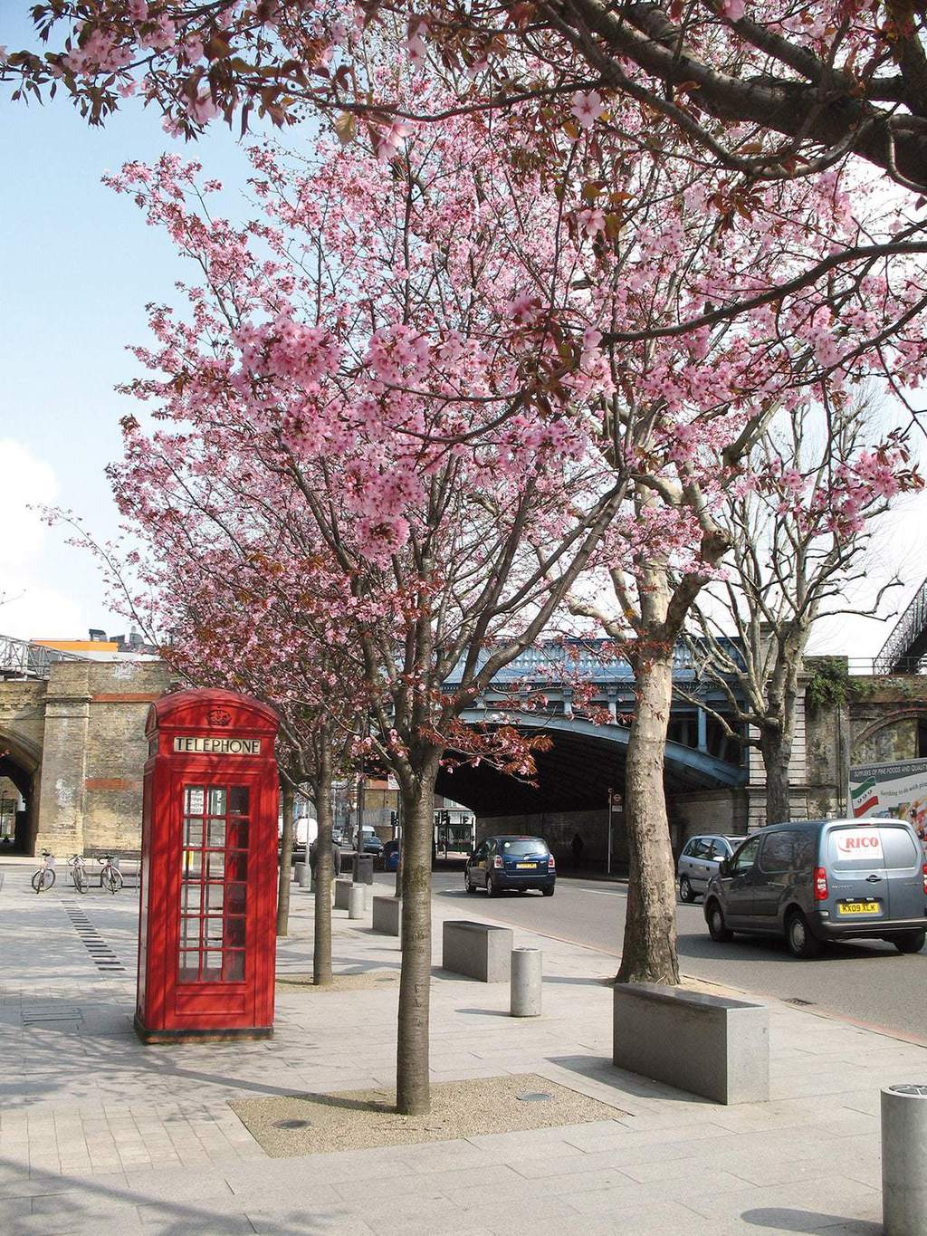 ArborSystem - urban tree planting system | GreenBlue Urban Ltd | ESI ...