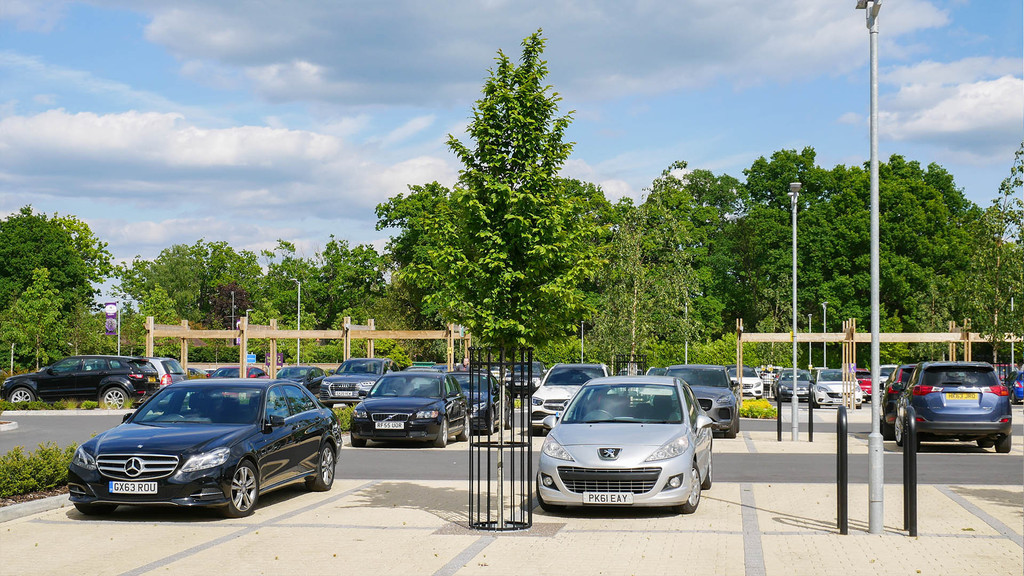 Tree planting system for garden centre car park | GreenBlue Urban Ltd ...