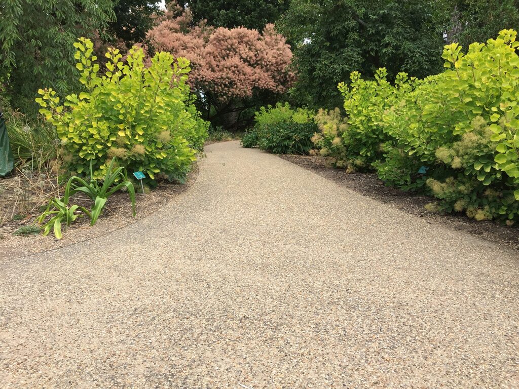 Titan steel pathway edging - RHS Wisley gardens | EverEdge | ESI ...