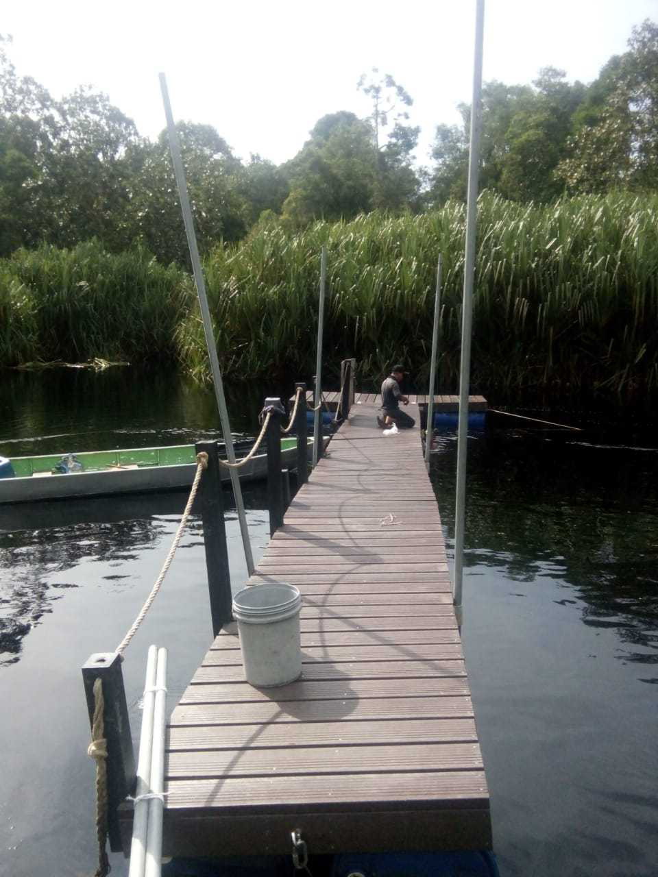 Recycled plastic bridges and jetties for rainforest | Plaswood | ESI ...