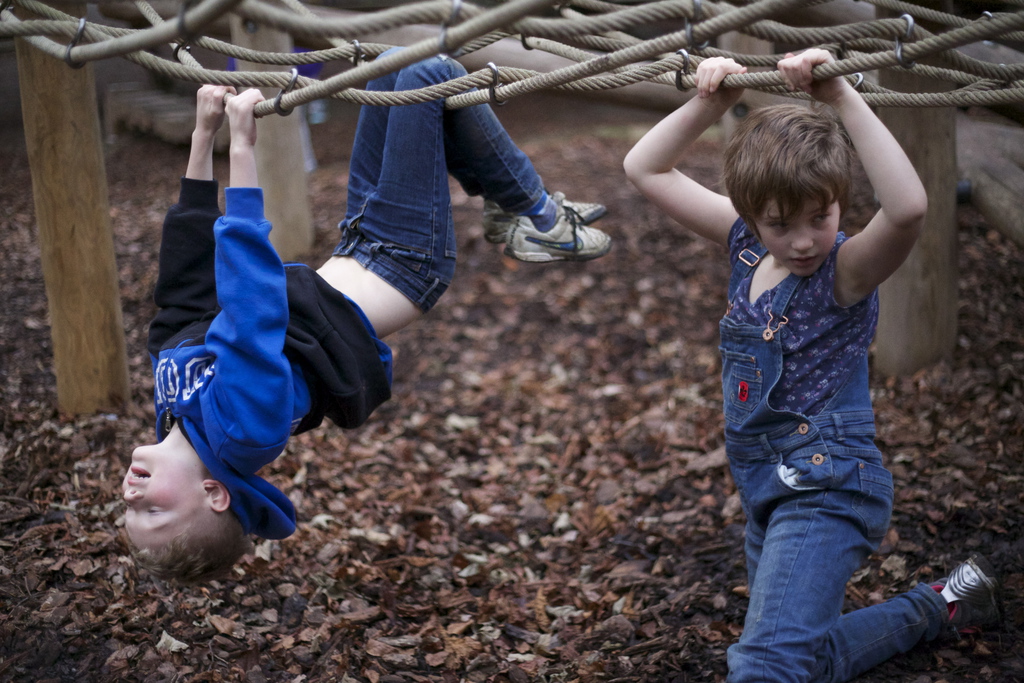 Adventure playground for National Trust at Belton House | Timberplay ...