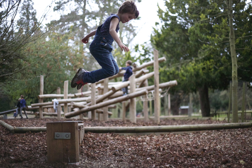 Adventure playground for National Trust at Belton House | Timberplay ...