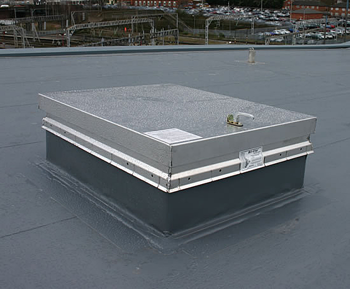 Type S-50TB fixed ladder access hatch | Bilco UK | ESI Building Design