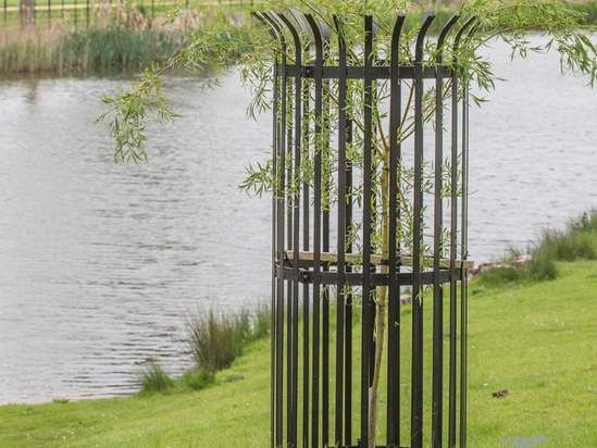 Circular, vertical bar tree guards | Paddock Fencing | ESI External Works