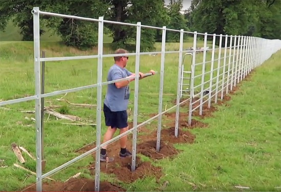Deer fencing and tree guards for historic country estate | Paddock ...