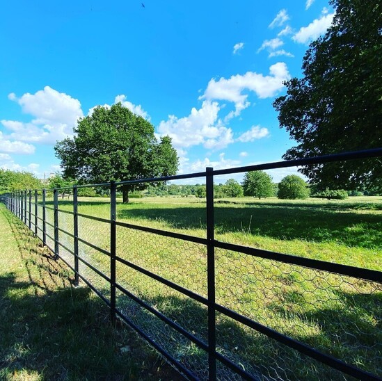 Traditional-style 5-bar estate and parkland fencing | Paddock Fencing ...