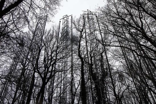 Secure fencing and gates protect forest research sites | CLD Physical ...