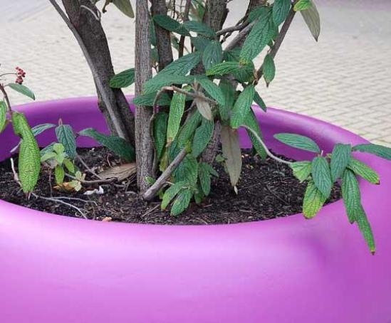 Boulevard ALADIN fibre reinforced cement tree planter | IOTA | ESI ...