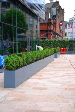 Bespoke steel street planters, 10 Hammersmith Grove | IOTA | ESI ...