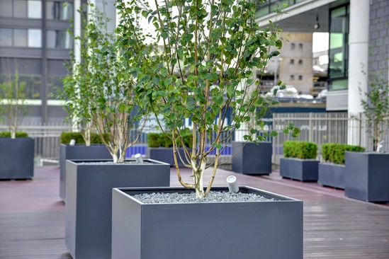 Large bespoke powder coated steel trough & tree planters | IOTA | ESI ...