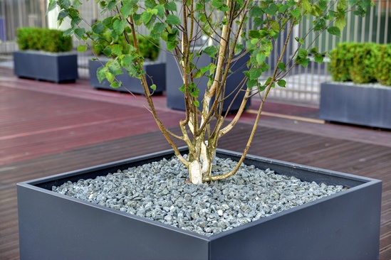 Large bespoke powder coated steel trough & tree planters | IOTA | ESI ...