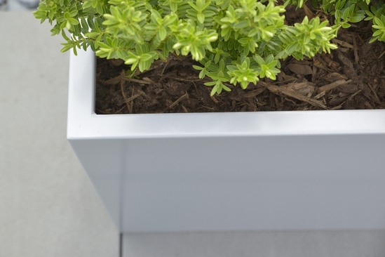 Bespoke steel planters for investment company terrace | IOTA | ESI ...