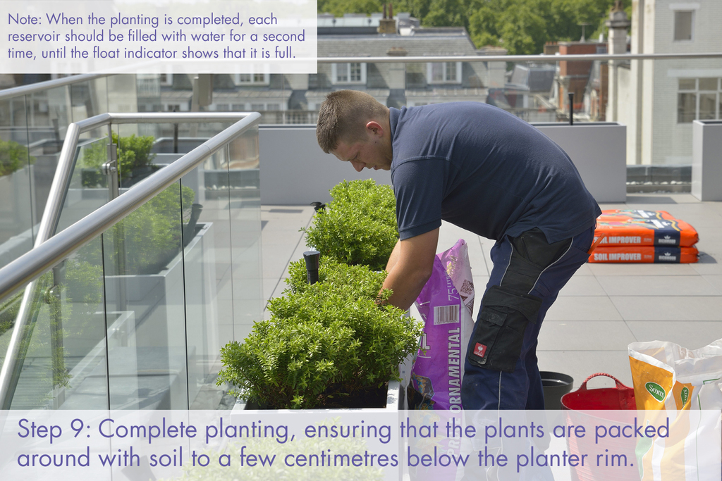 A guide to commercial container planting | IOTA | ESI External Works