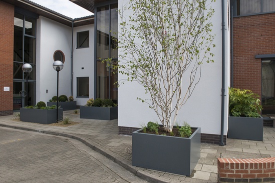 Bespoke steel tree planters | IOTA | ESI External Works