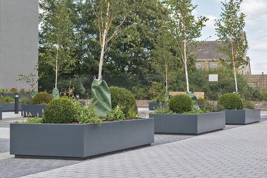 Bespoke steel planters - Channelsea House, Stratford | IOTA | ESI ...