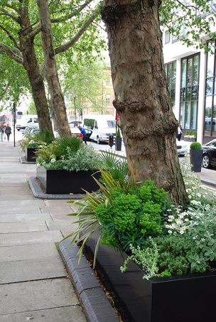 Bespoke steel tree planters for Park Lane hotel | IOTA | ESI External Works
