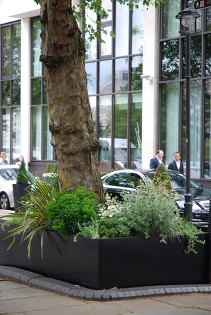 Bespoke steel tree planters for Park Lane hotel | IOTA | ESI External Works