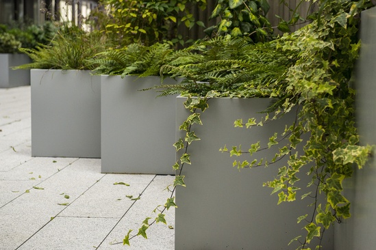 Bespoke steel planters - City, University of London | IOTA | ESI ...