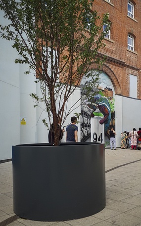 Bespoke aluminium tree planters for retail expansion | IOTA | ESI ...