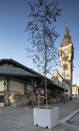 Bespoke steel tree planters for public realm improvement | IOTA | ESI ...