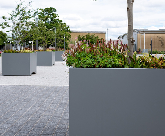 Movable zintec steel tree planters - University of Bath | IOTA | ESI ...
