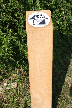 Timber waymarker posts and bollards | Landmark | ESI External Works