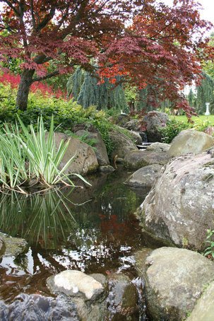 Watercourse design and construction services | Splash Gordon | ESI ...