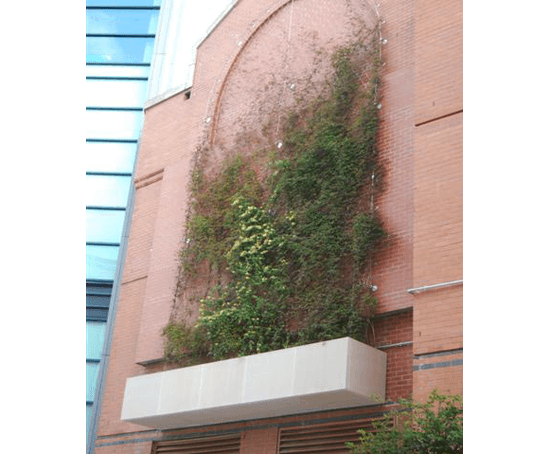 Green wall solution for shopping centre | MMA Architectural Systems ...