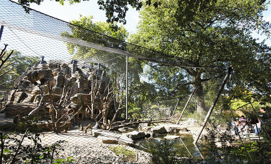 Stainless steel wire mesh systems for animal enclosures | MMA ...