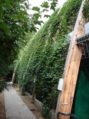 Commercial green wall systems | MMA Architectural Systems | ESI ...