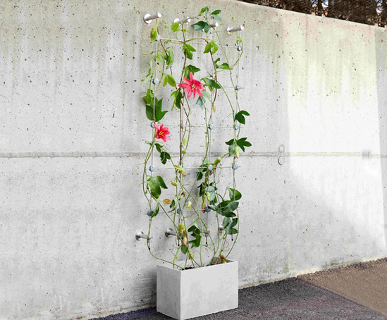 Residential green wall systems | MMA Architectural Systems | ESI ...