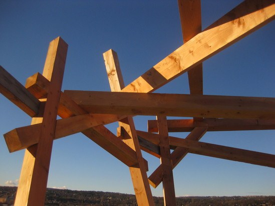 Crows Nest timber structure – Heeley Park, Sheffield | Handspring ...